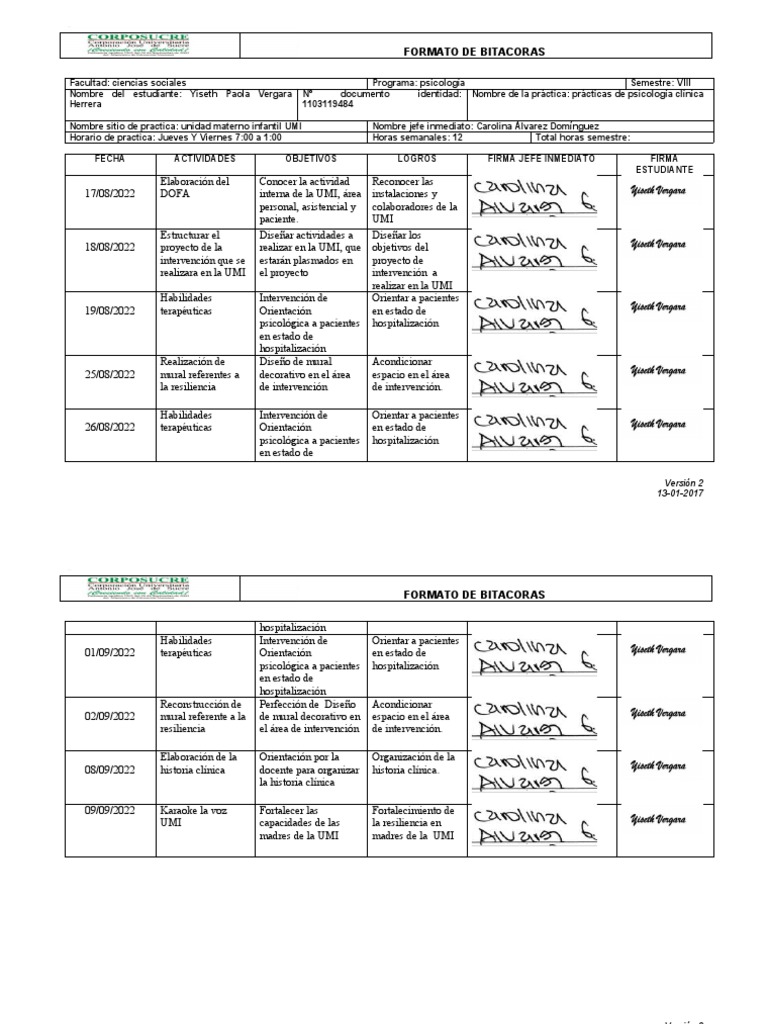 Formato de Bitacoras C-1 | PDF | Hospital | Historial médico