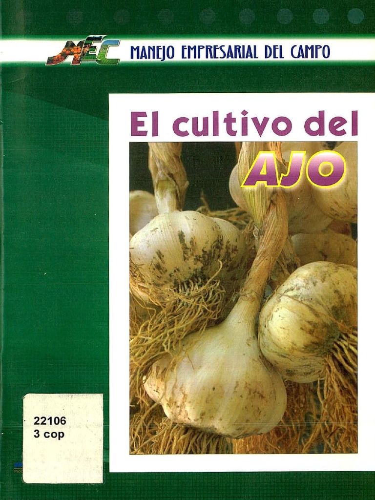 Cultivo y Manejo del Ajo en Colombia | PDF | Fertilizante | Ajo