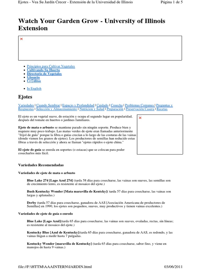 Cultivo y Cosecha de Ejotes | PDF | Legumbre | Hirviendo