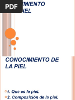 Clasificación Baumann | PDF