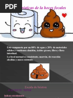 Caracteristicas de Las Heces Consistencia y Color | PDF | Heces ...