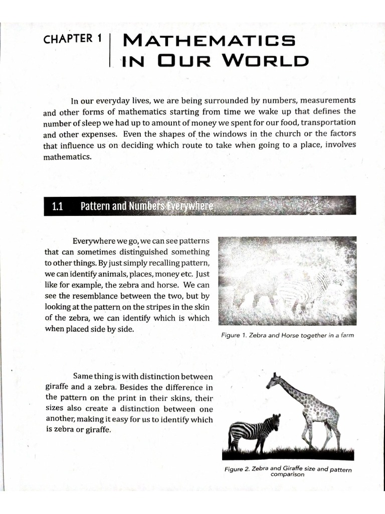 Mathematics in The Modern World (Lesson 1) | PDF