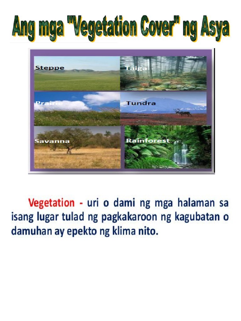 Vegetation Cover NG Asya | PDF