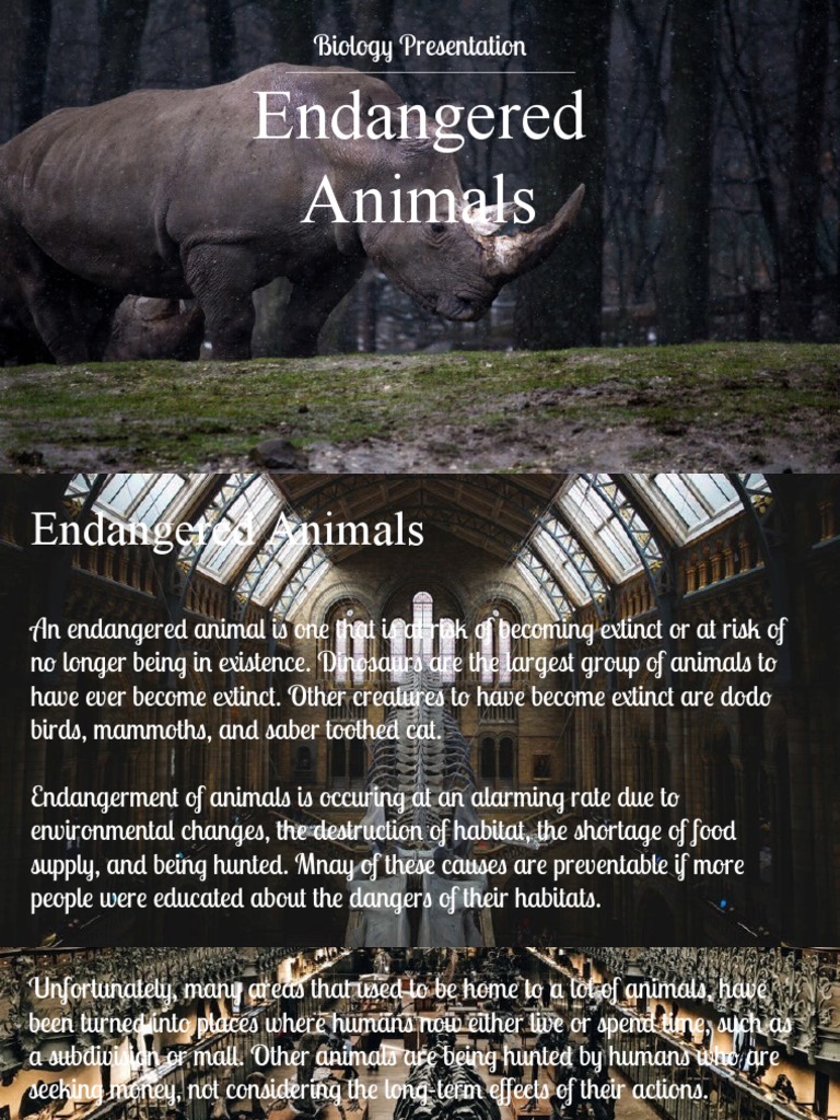 Endangered Animals - Biology Presentation | PDF | Endangered Species | Tiger