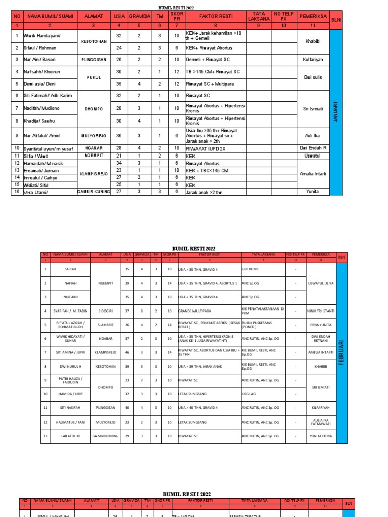 Laporan Bumil Resti 2022 | PDF