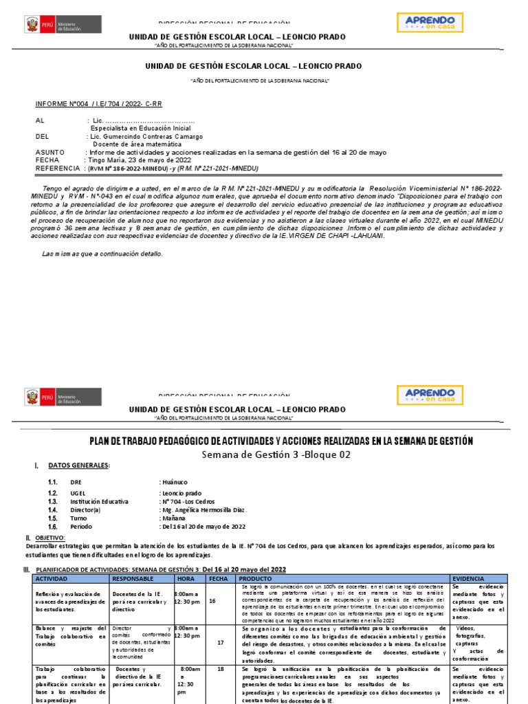 Informe de Semana de Gestion 2022 | PDF | Método de enseñanza | Evaluación