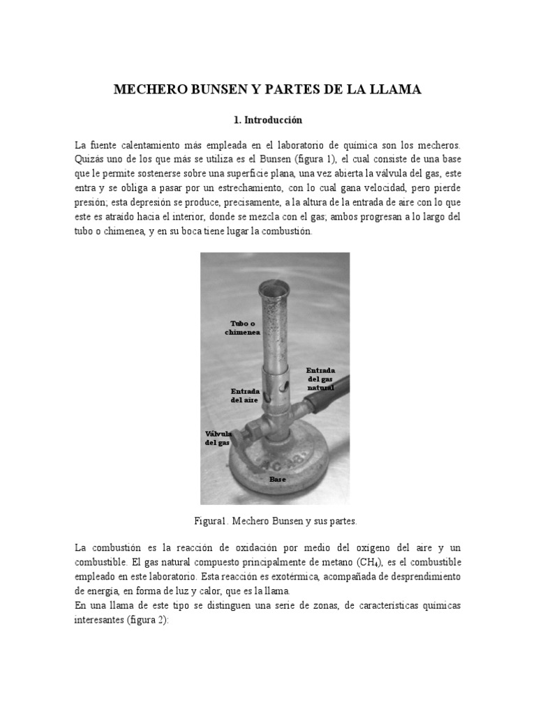 Partes del Mechero Bunsen y Llama | PDF | Ciencias fisicas | Naturaleza
