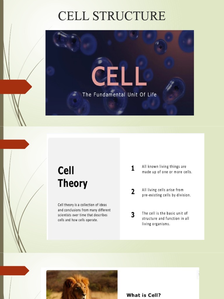 Genetics PPT 2 | PDF