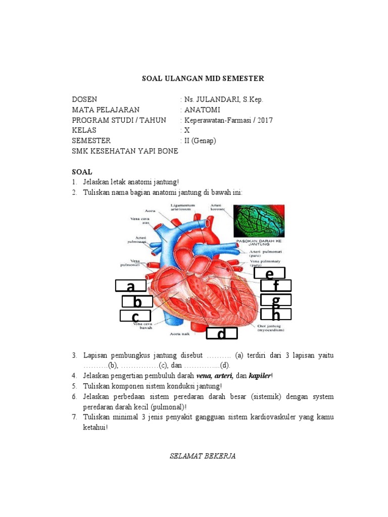 Soal Ulangan Anatomi Mid Semester (Genap) - Julandari | PDF | Sains ...