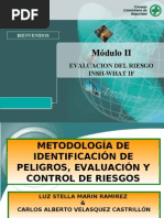 Modelo en Excel MESERI Deber | PDF | Naturaleza