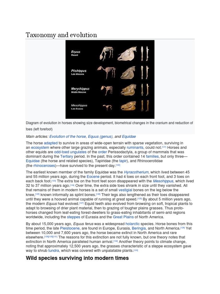 Taxonomy and Evolution | PDF | Horses | Equus (Genus)