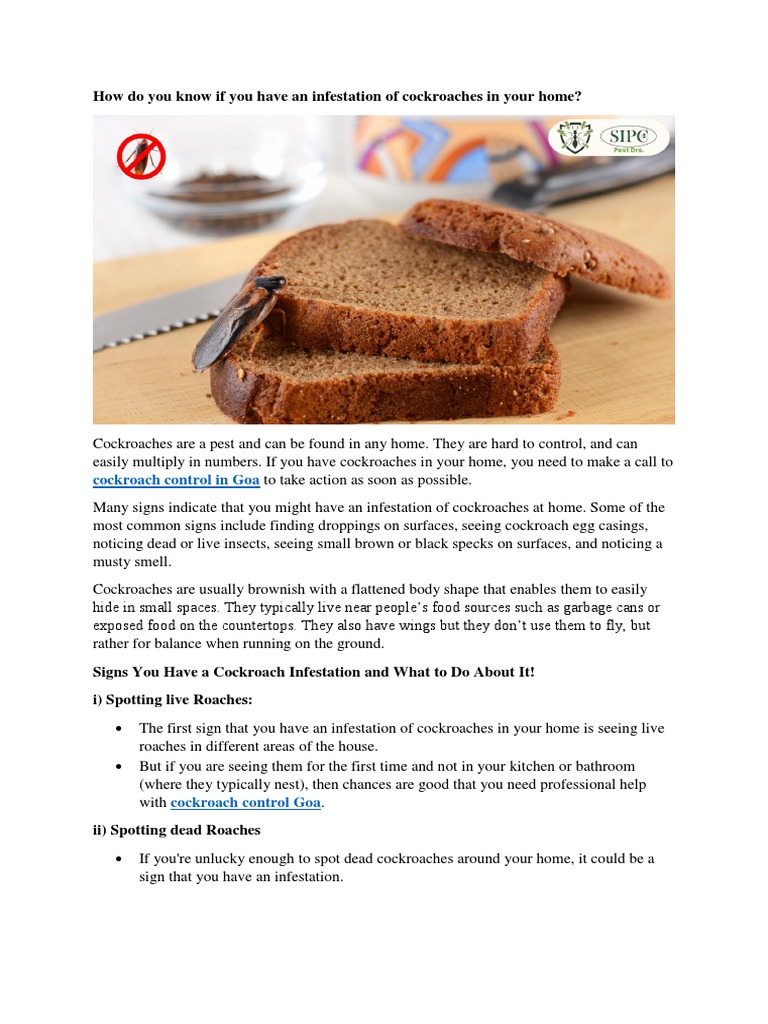 Cockroach Control in Goa | PDF | Insects | Hexapoda