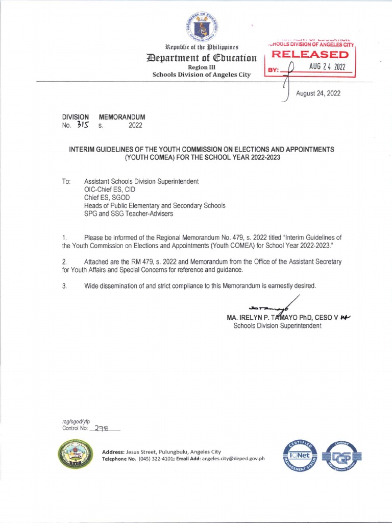 Division Memorandum No. 315 S. 2022 - Interim Guidelines of The Youth ...