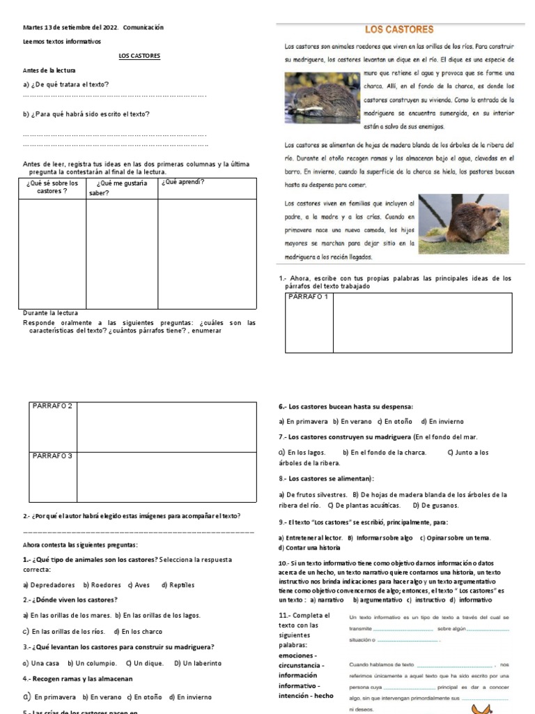 Actividades de Lectura sobre Castores | PDF | Castor