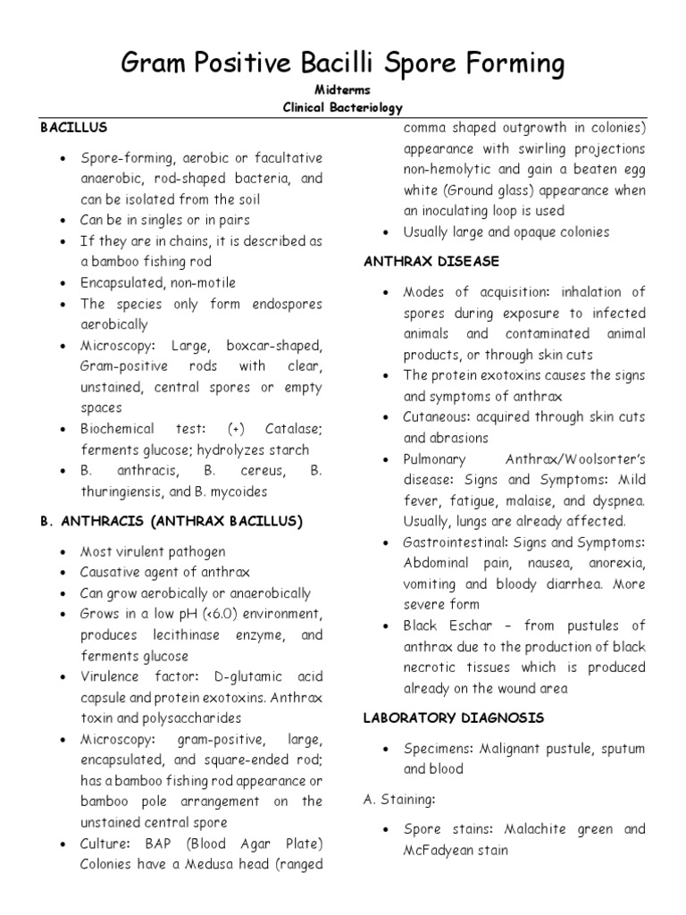 Bacte Gram Positive Bacilli Spore Forming Pdf Bacillus Anthrax 9557