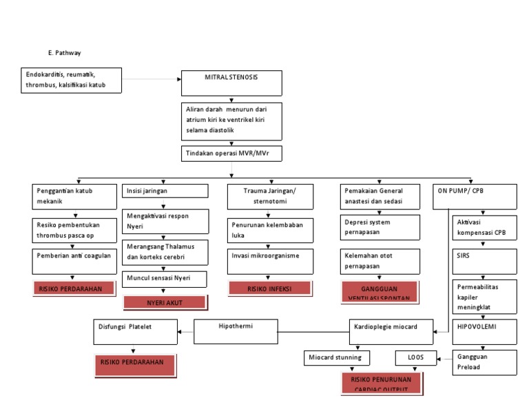 Pathway Pasca Operasi MVR | PDF