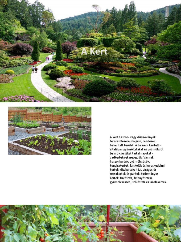 A Kert | PDF