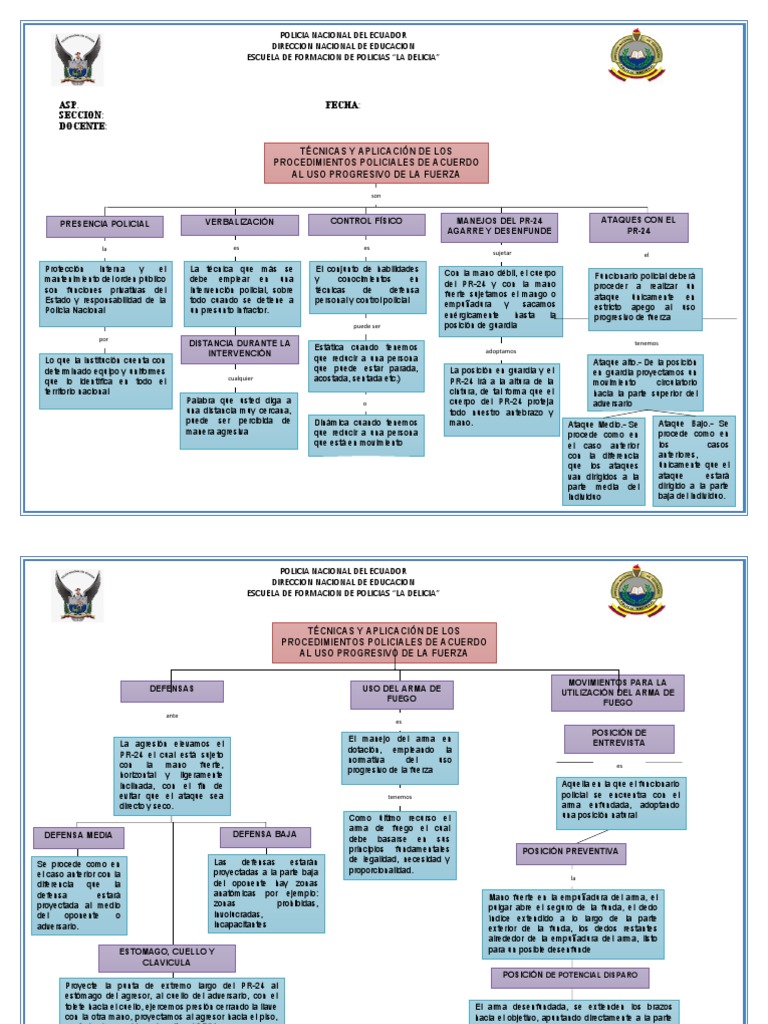 Mapa Conceptual Jennifer | PDF | Policía | Fuerza