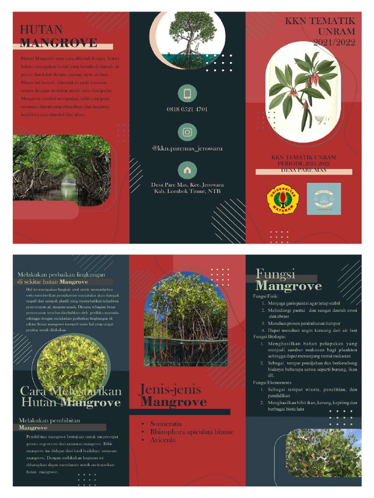 Leaflet KKN Desa Pare Mas | PDF