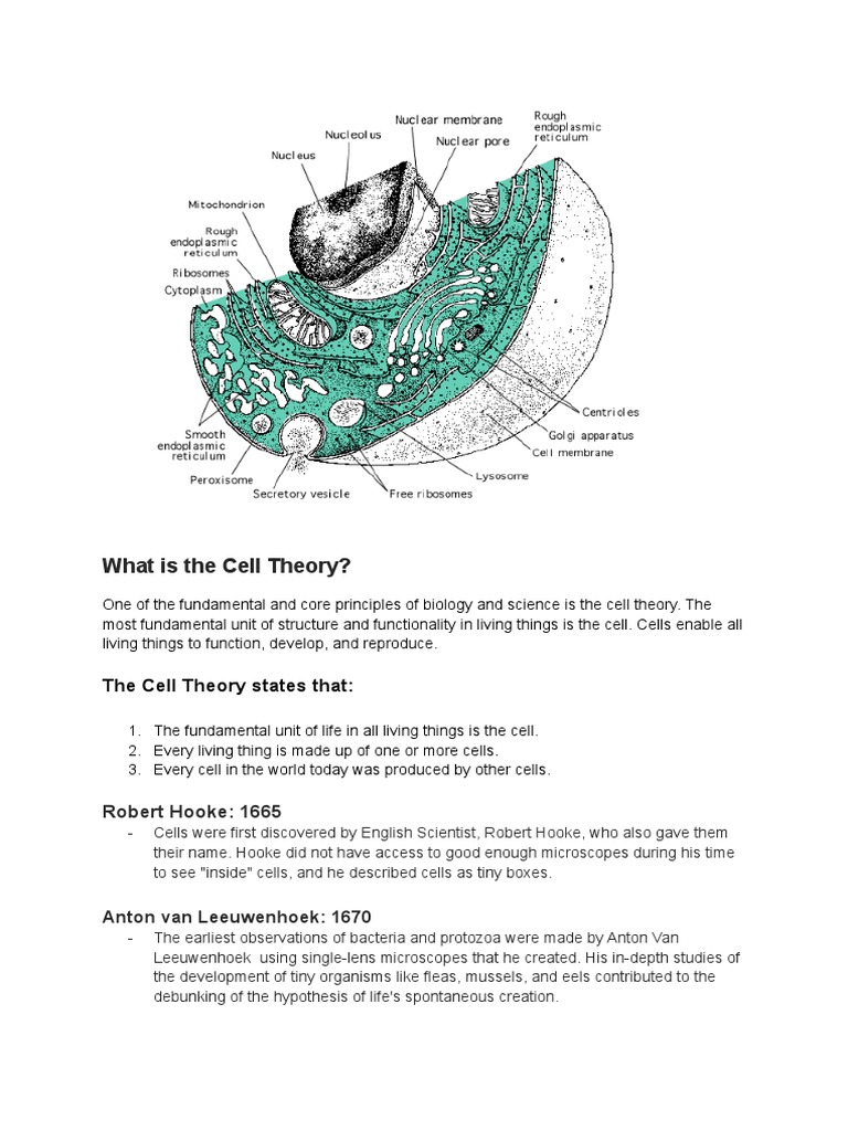 The Development of the Cell Theory: A History of Key Discoveries and ...