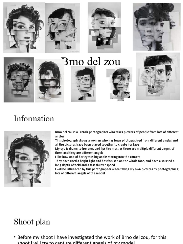 Brno Del Zou Artist Analysis | PDF