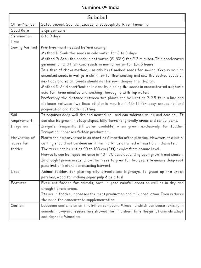 Subabul Information | Download Free PDF | Sowing | Trees