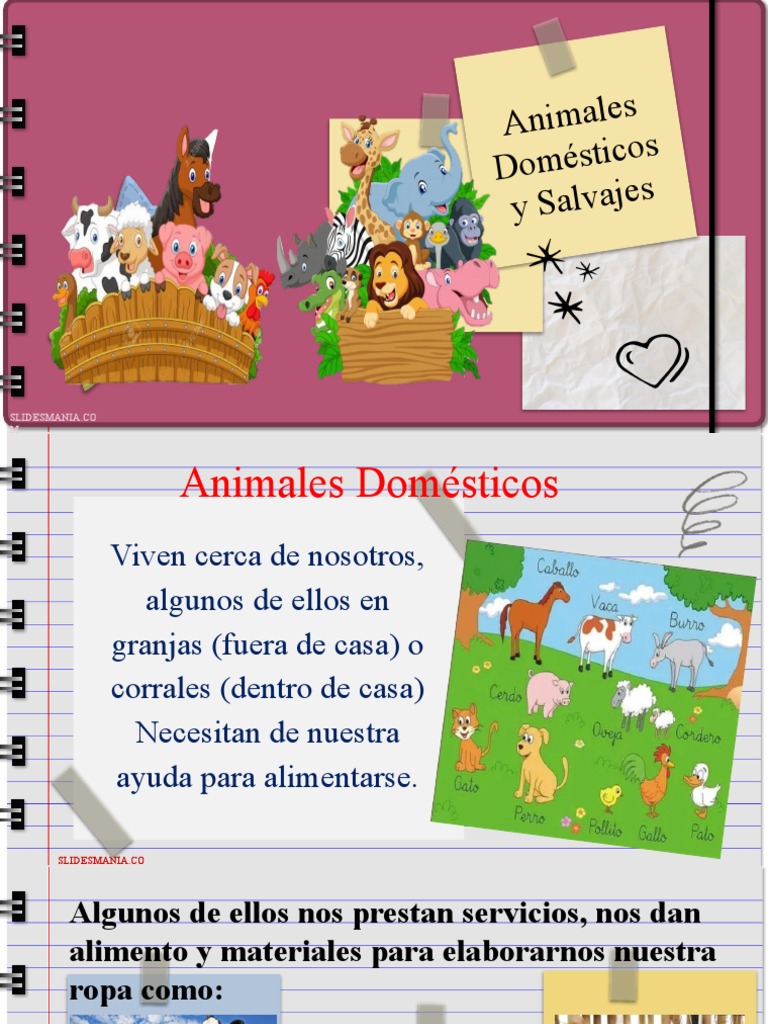 Animales: Domésticos vs Salvajes | PDF | Salud y bienestar