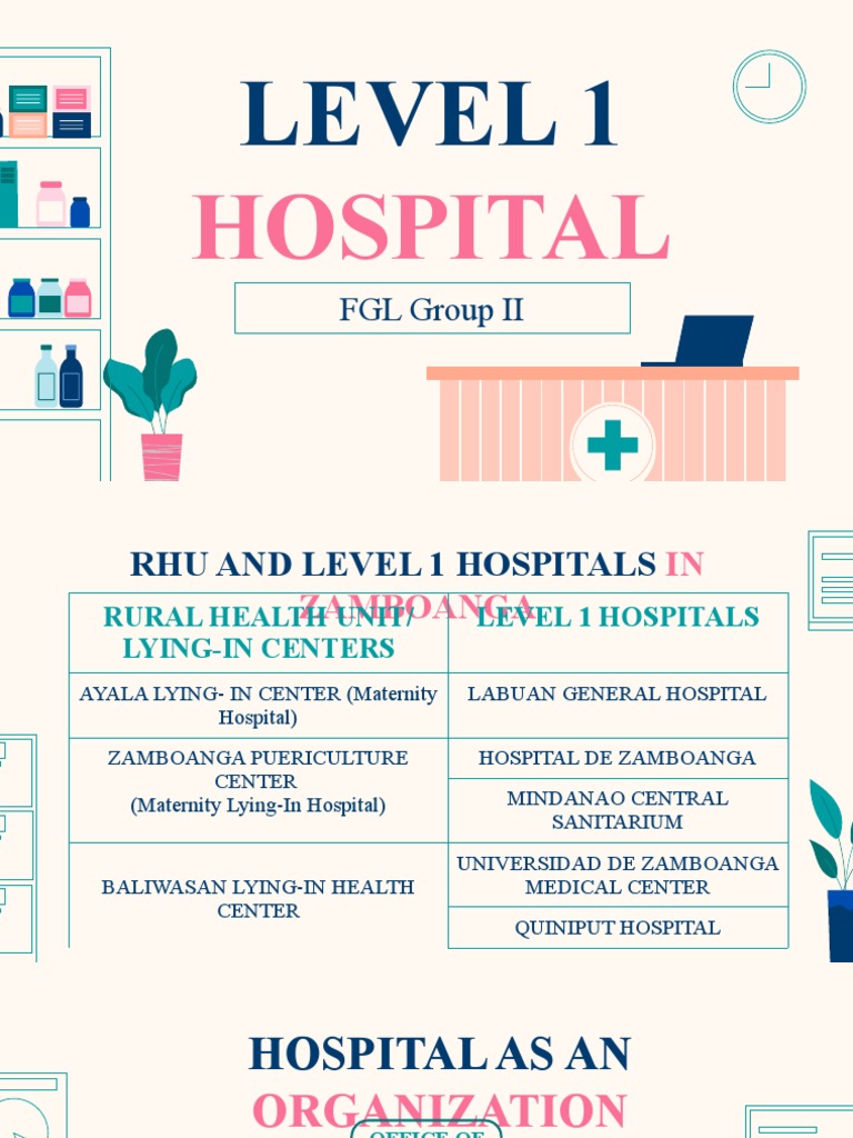 Level 1 Hospital - FGL GRP 2 | PDF | Hospital | Health Care