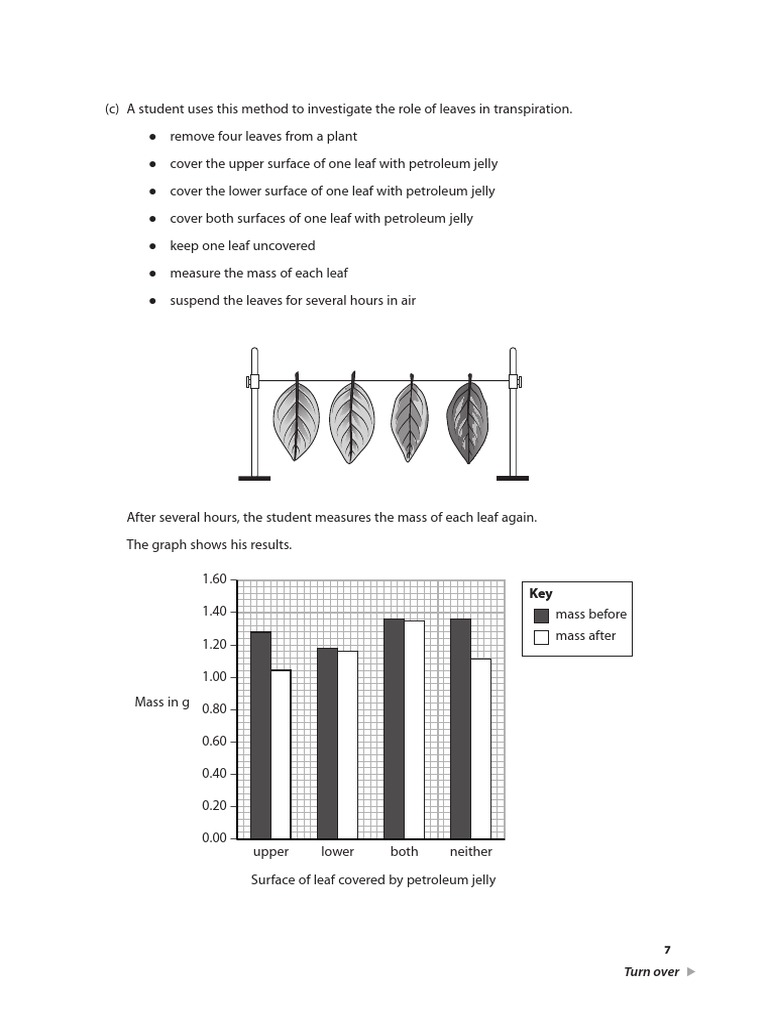 Chapter Transpiration Worksheet Solution | PDF | Stoma | Leaf