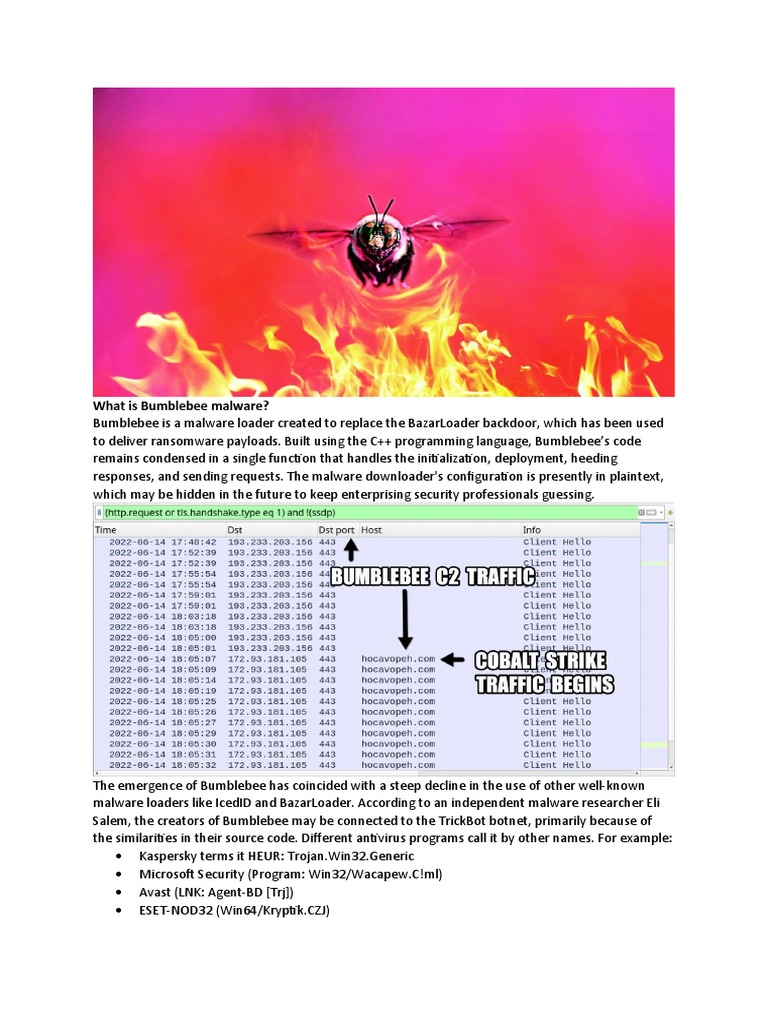 What Is Bumblebee Malware | PDF | Malware | Antivirus Software