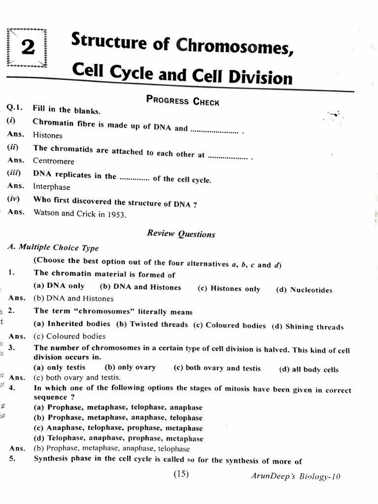 REVISION WORK (Structure of Chromosomes) | PDF | Mitosis | Meiosis