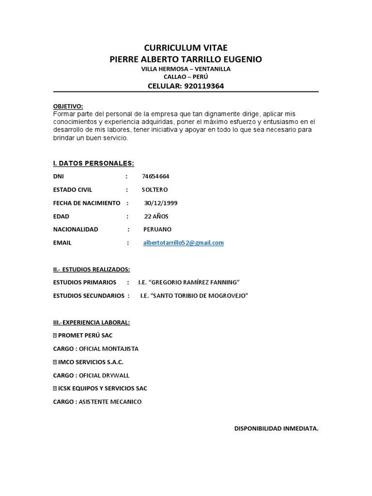 Curriculum Vitae Pierre | PDF | Perú