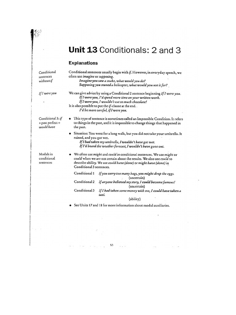 Conditionals 2 and 3 | PDF