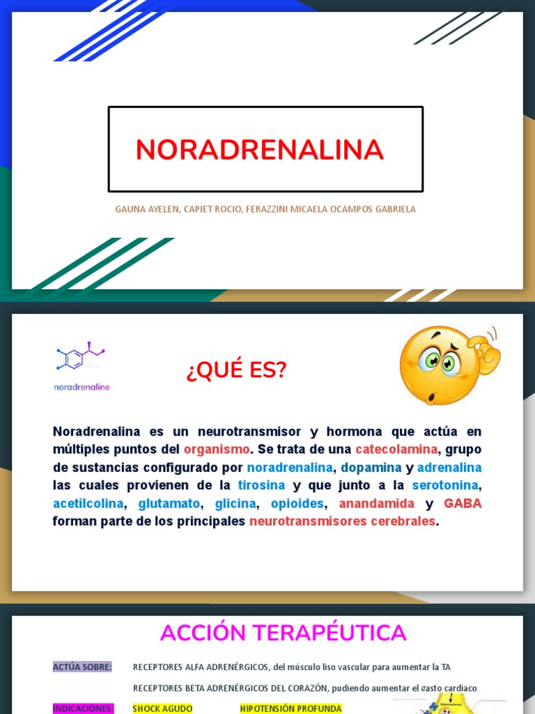 Nor Adrenalin A | PDF | Norepinefrina | Fisiología