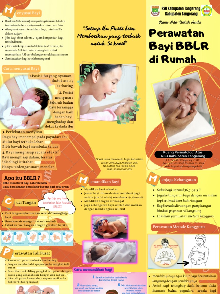 Leaflet Perawatan Bayi BBLSR FIX Upload | PDF