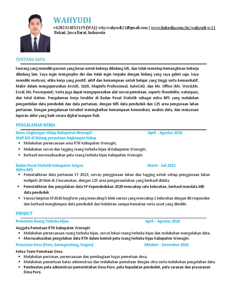 CV 11 | PDF | Karier & Perkembangan | Seni