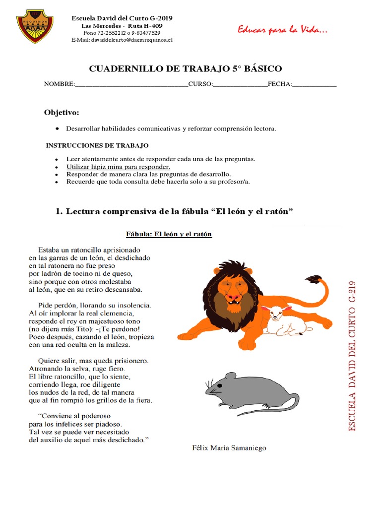 Cuadernillo de Trabajo 5°básico Lenguaje | PDF | Comprensión lectora ...