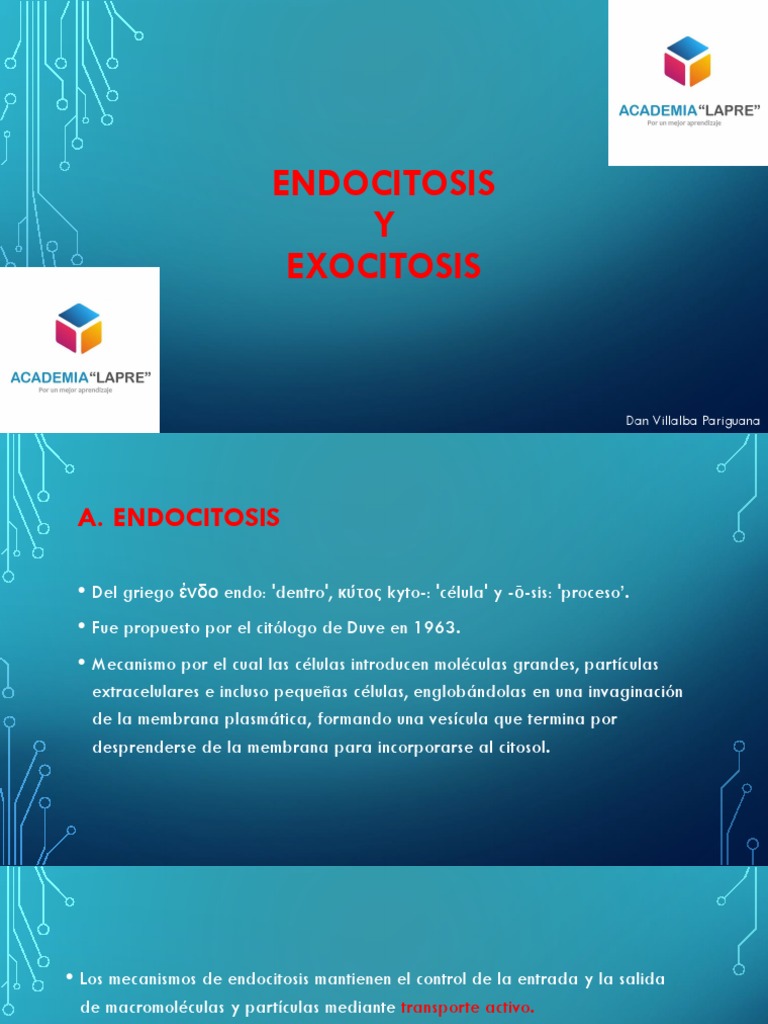 Semana 9 Biologia Endocitosis Y Exocitosis Pdf Histología