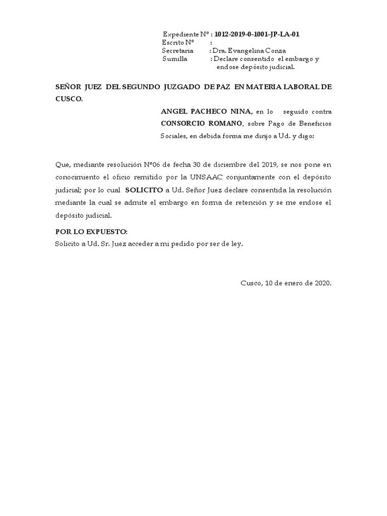 1012-2019 Consentido Embago | PDF