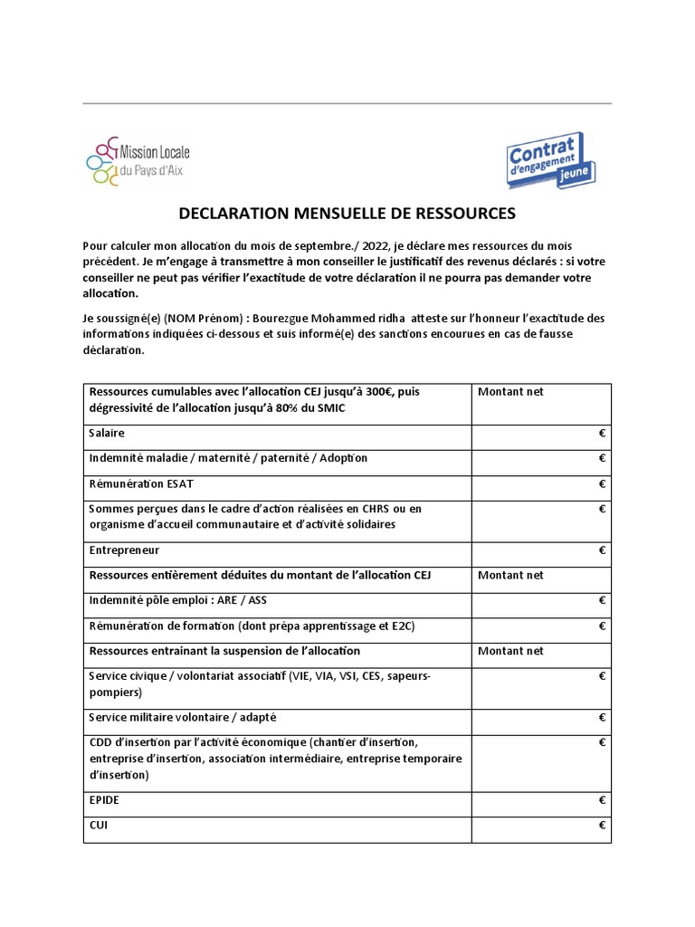 Déclaration Mensuelle de Ressources CEJ | PDF | Emploi | Travail