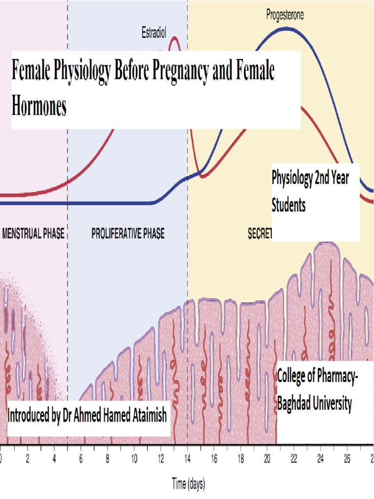 Female Physiology and Hormones Overview | PDF | Luteinizing Hormone ...