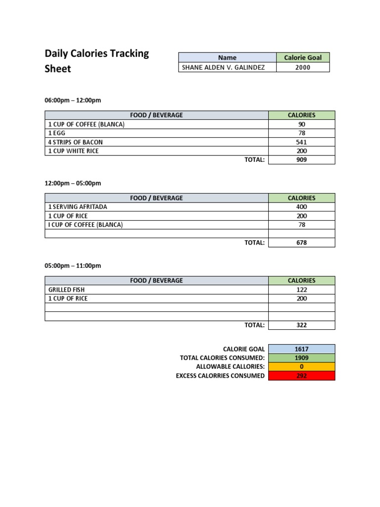 Daily Calories Tracking Sheet - Template | PDF