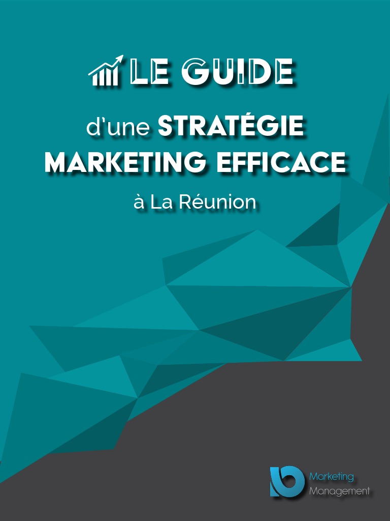 Stratégie Marketing Efficace à La Réunion | PDF | Analyse SWOT ...