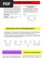 Diagnóstico Familiar Sistémico | PDF | Familia | Trabajo Social