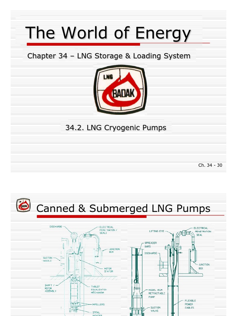 34B - LNG Cryogenic Pumps | PDF