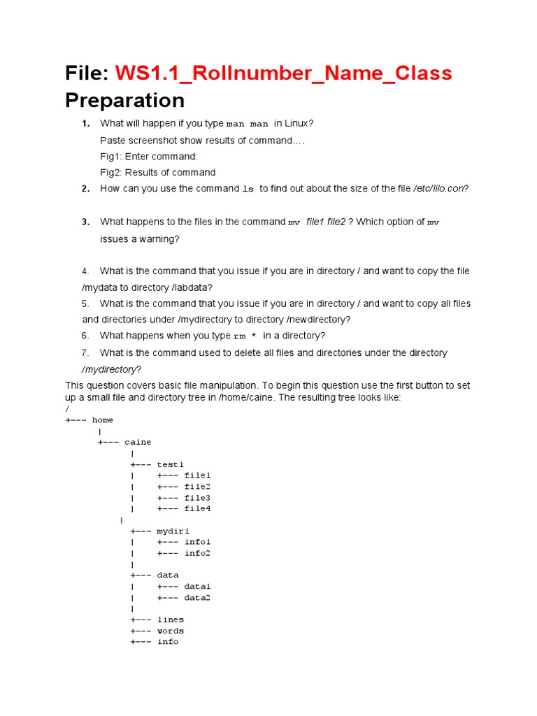 WS1.1-OS Intro | PDF | Computer File | Directory (Computing)