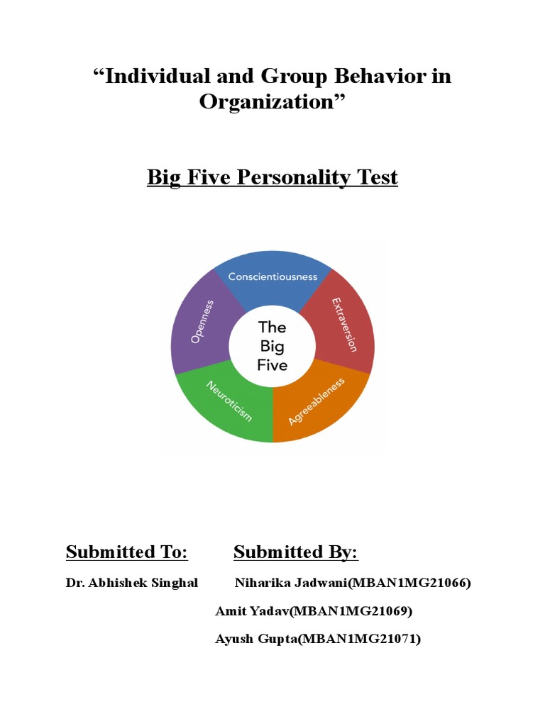 Analyzing Big Five Personality Test Results to Gain Insights into ...