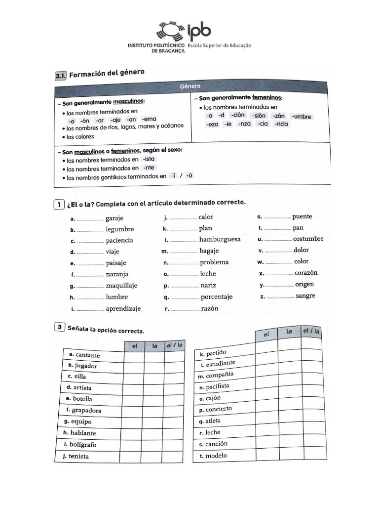 Género y Número - Ejercicios | PDF