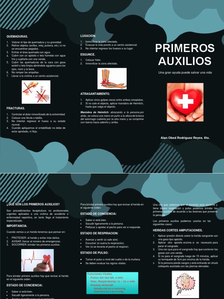 Procedimientos básicos de primeros auxilios | PDF | Primeros auxilios | Emergencias Médicas