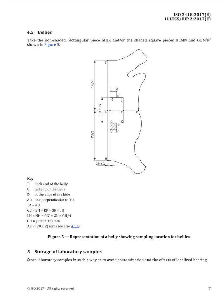 ISO 2418 p7 | PDF